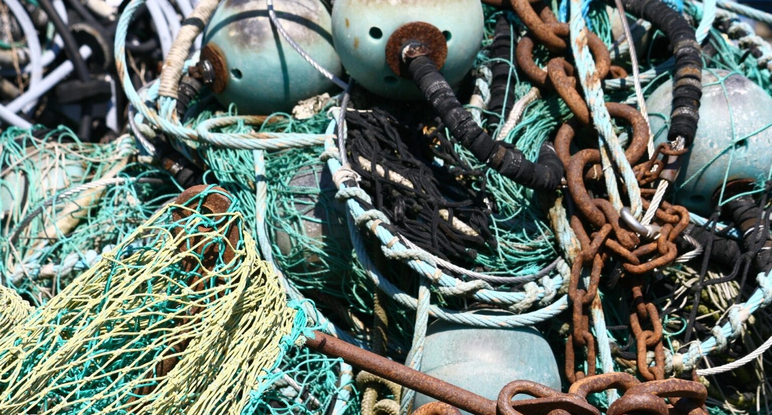 5 notable numbers defining Canada’s fishing and hunting scene for 2026 ...