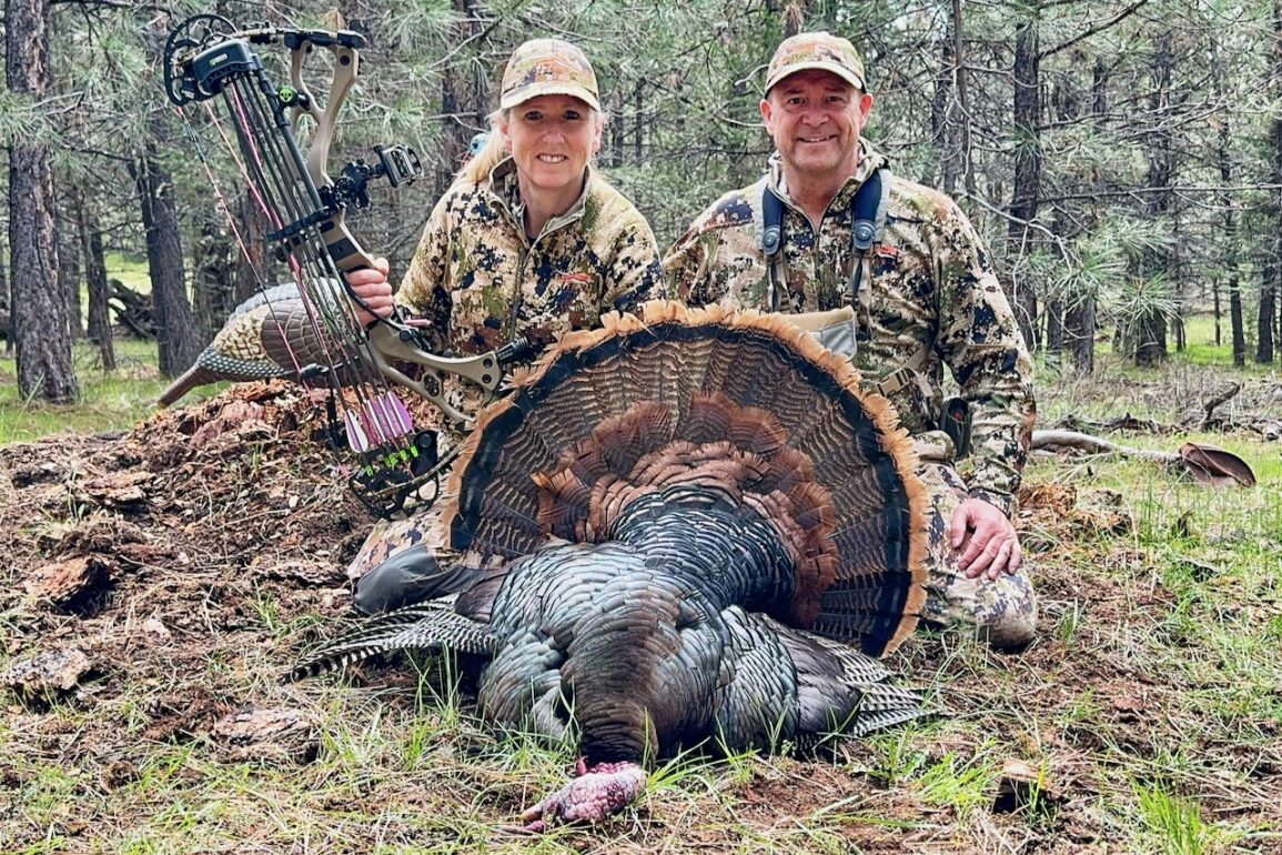 2 expert springtime tactics for hunting wild turkeys with a bow ...