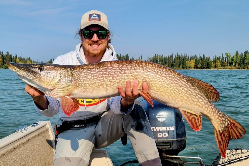 A Saskatchewan pike guide’s 5 essential gear tips for battling big ...