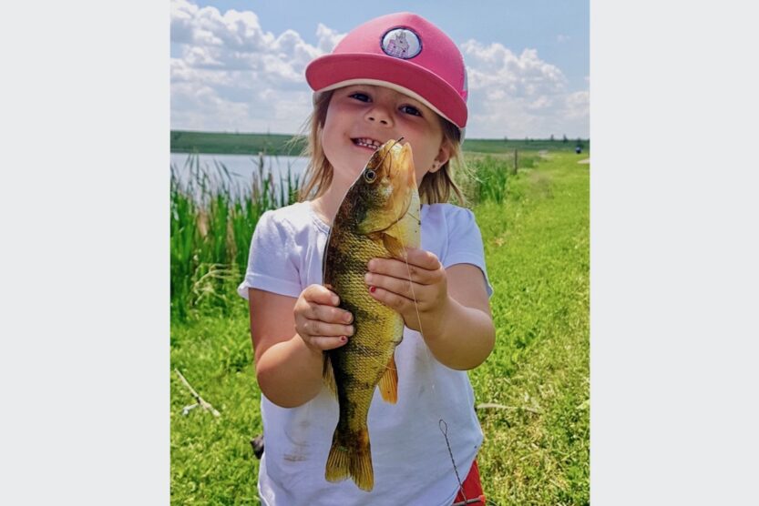 An homage to Canada’s beloved yellow perch and the joys of simple ...